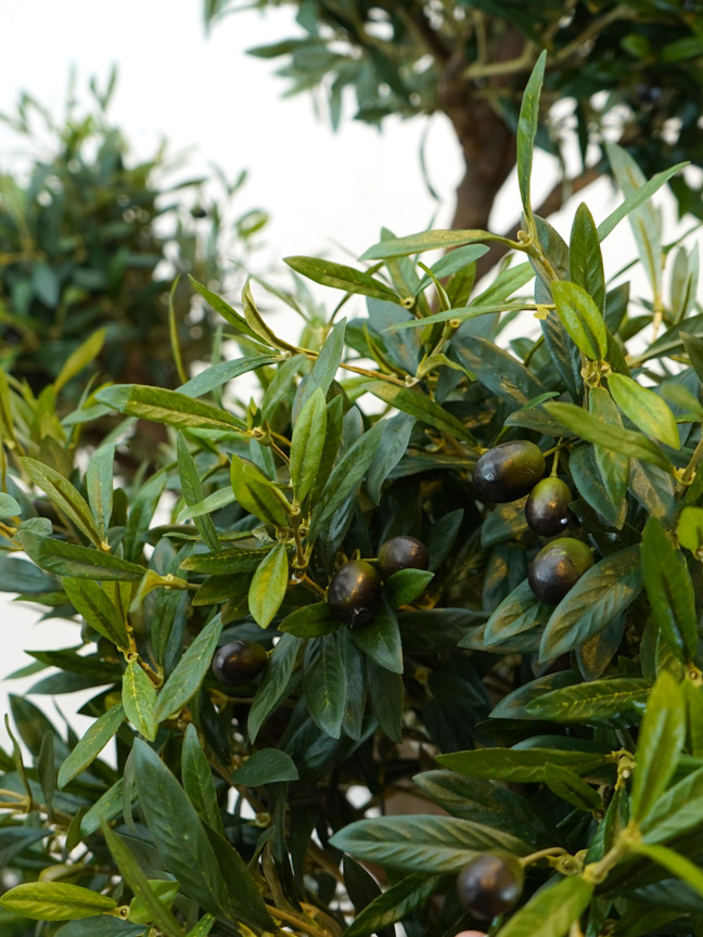 Artificial Trees Online | Leading Plants & Flowers Online Store in Kuwait