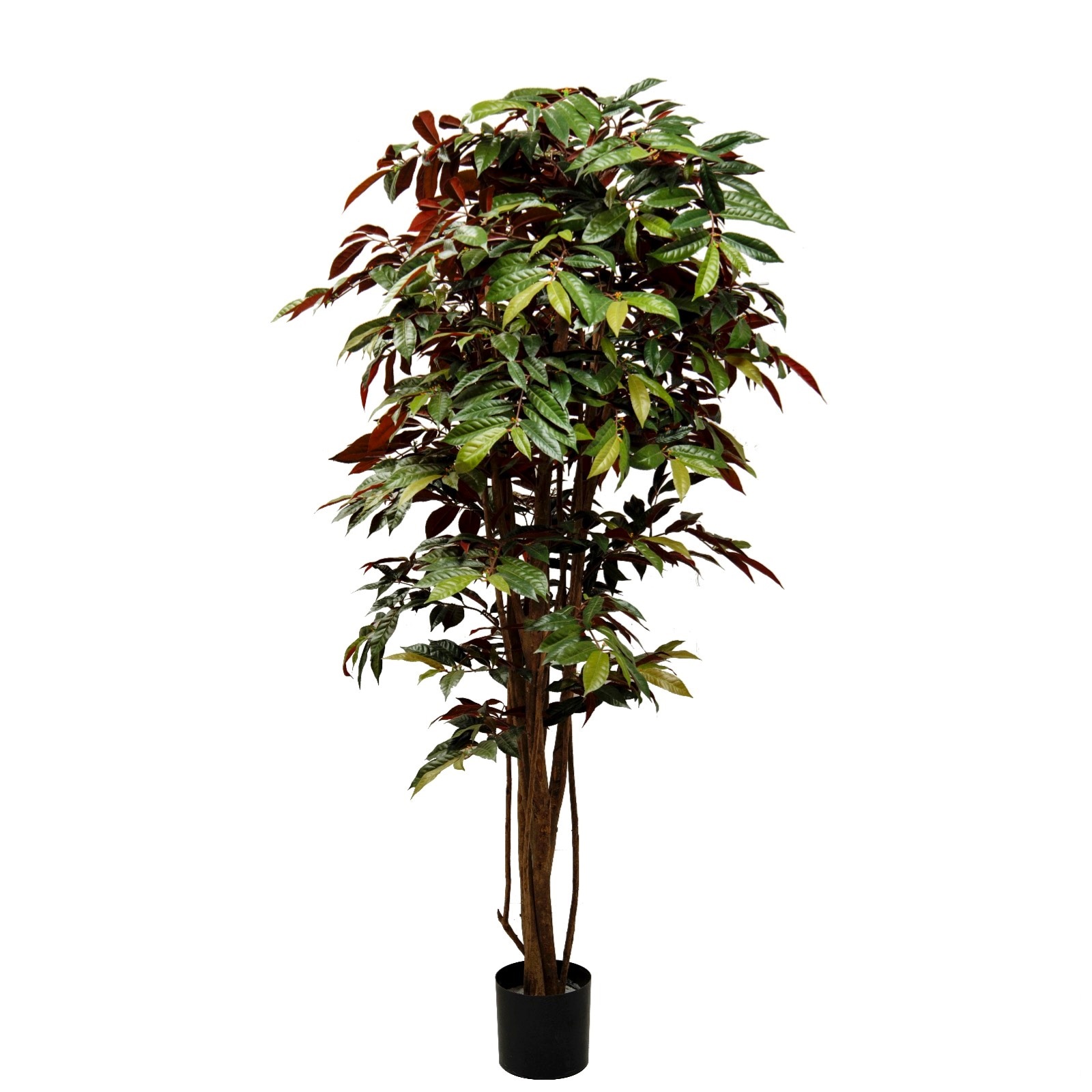 Artificial Trees Online | Leading Plants & Flowers Online Store in Kuwait