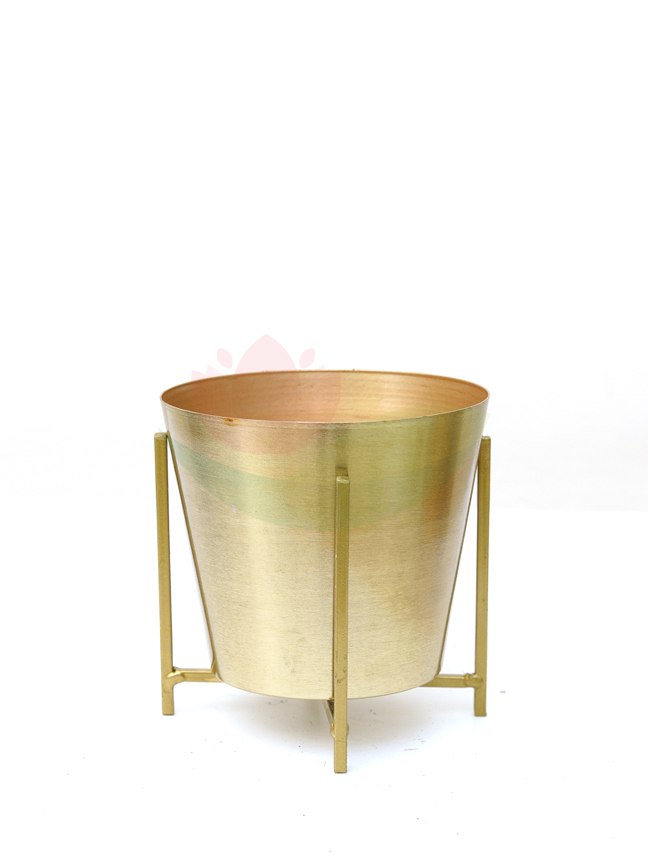 Discover Stylish Pots and Vases for Your Plants | Shop Now